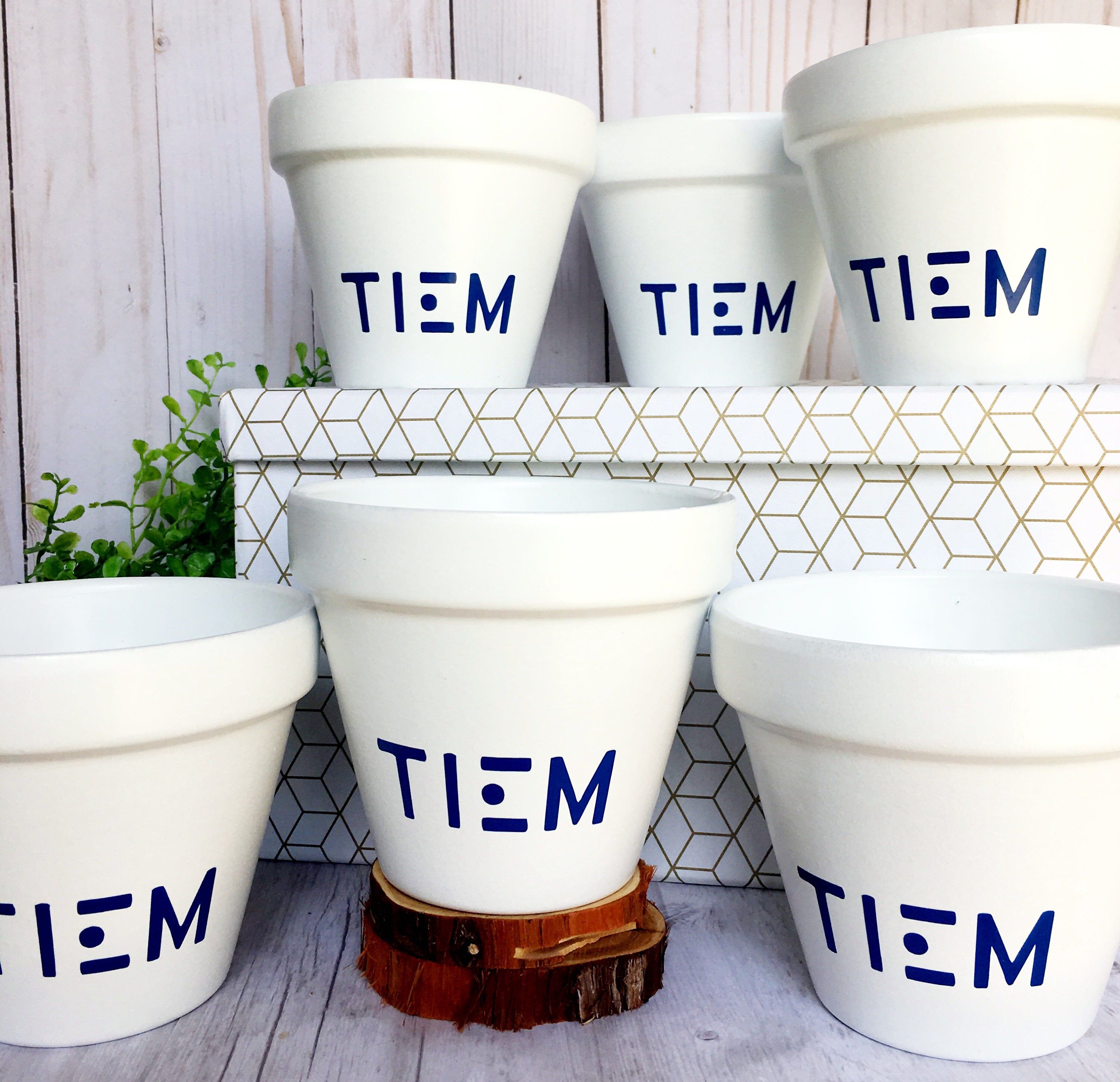 4 Custom Plant Pot Custom Planter Personalized - Etsy