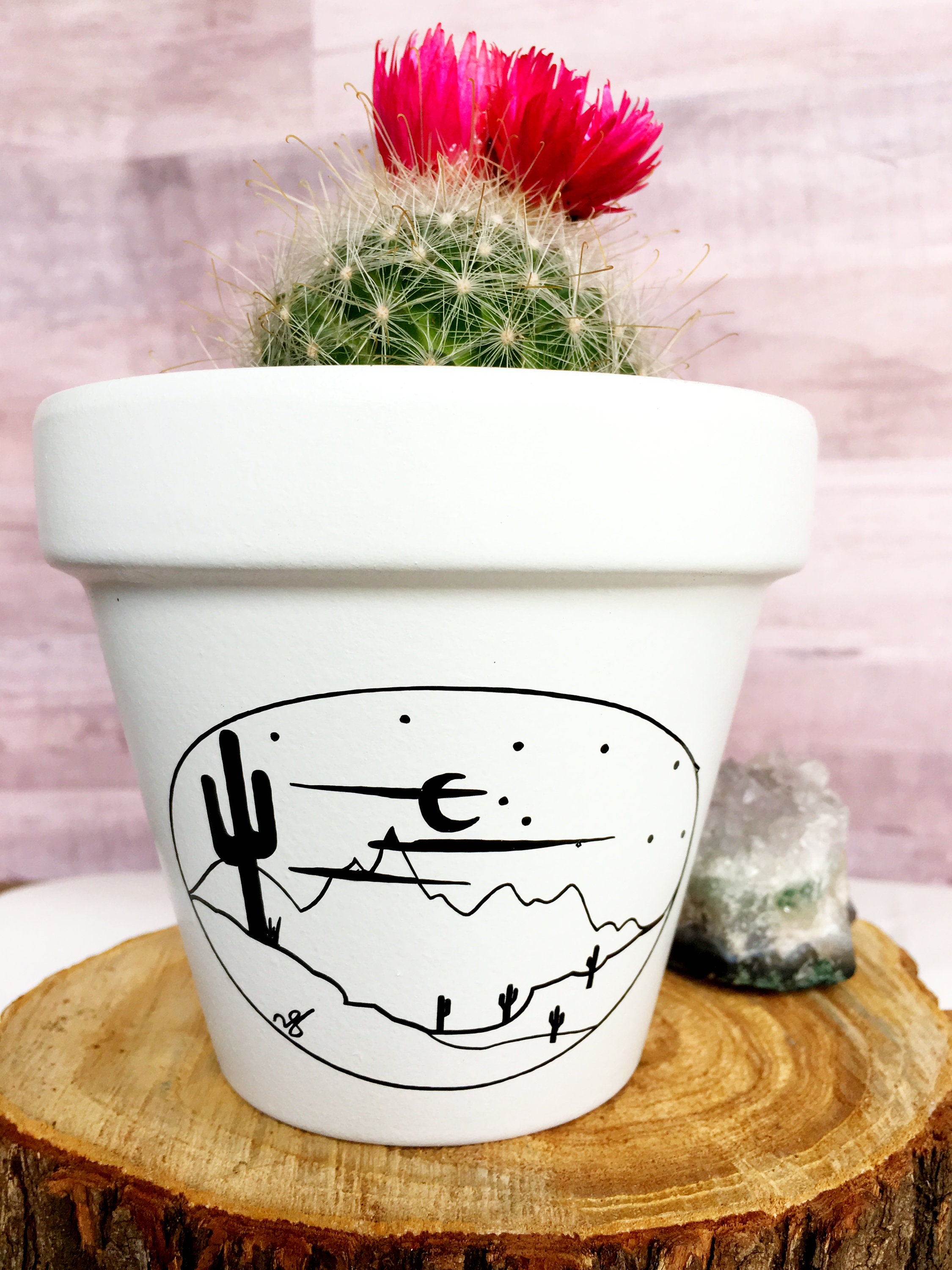 Desert Scene by Mark Jespersen Pot - Flower Pot, Succulent Gift ...