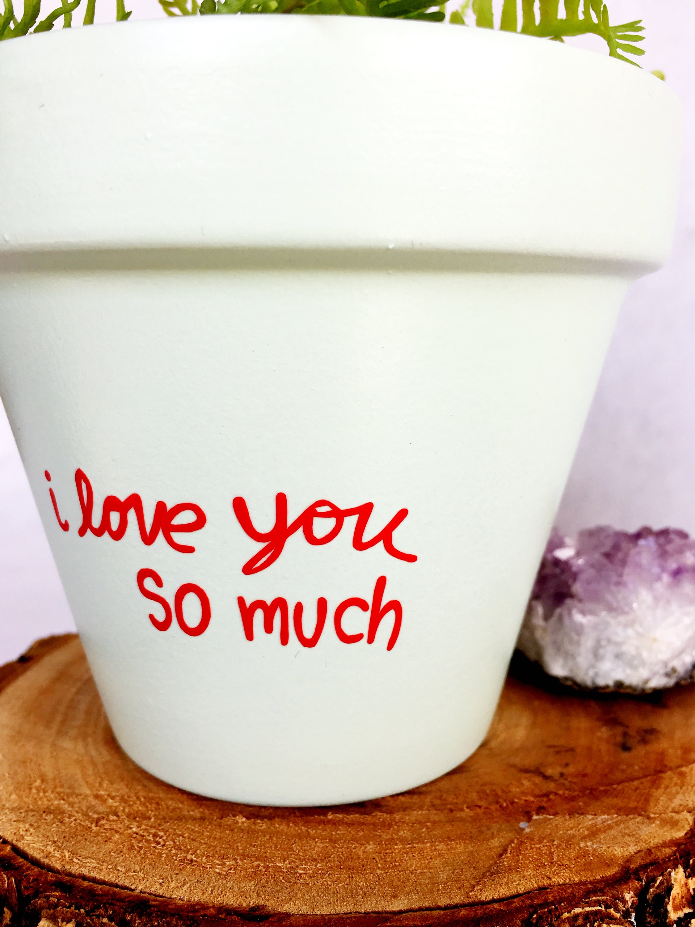 I Love You so Much Pot | Austin I Love You so Much Wall | I Love You so ...