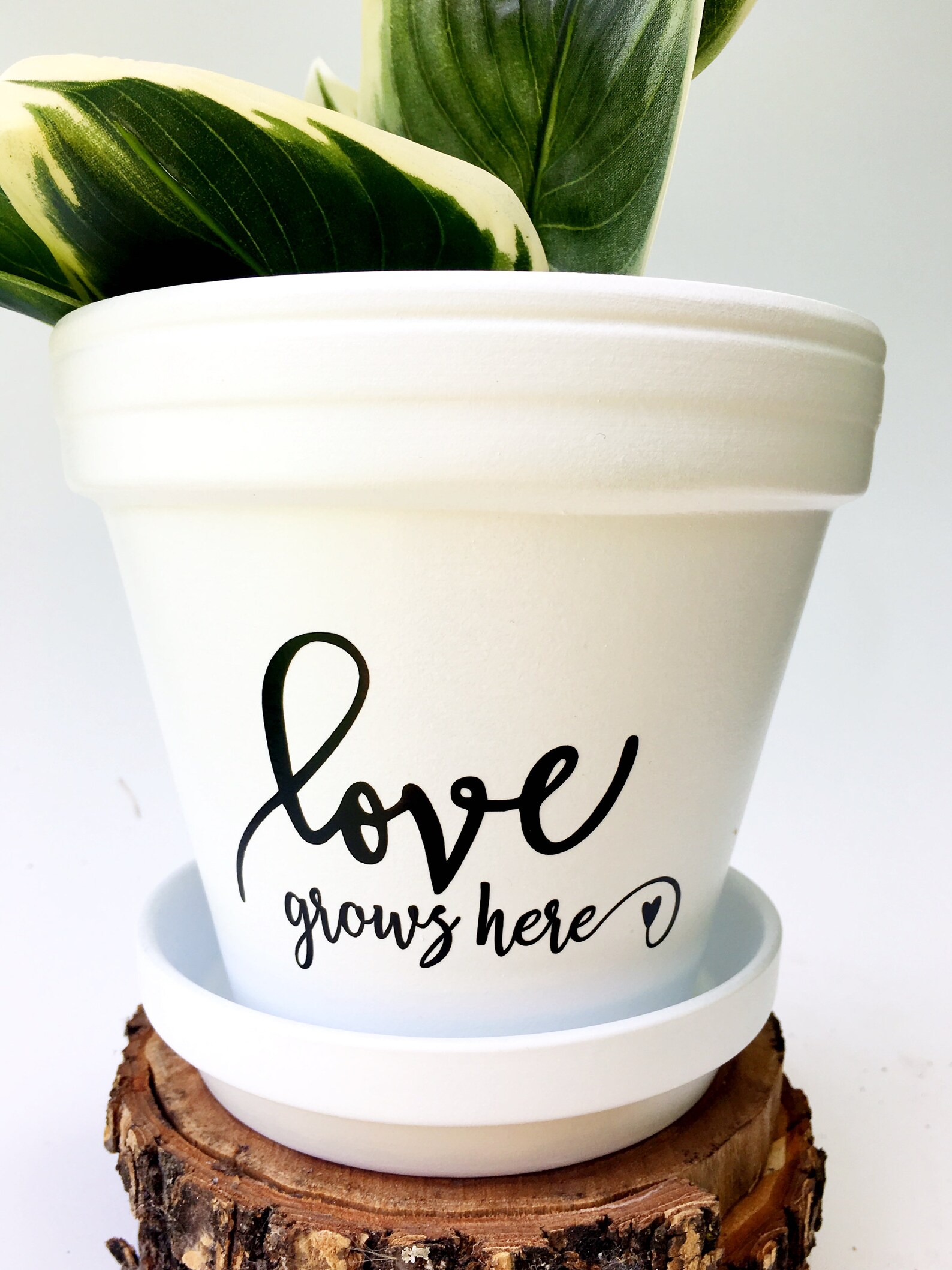 Love Grows Here Flower Pot Cute Pot Planter Pot Plant | Etsy