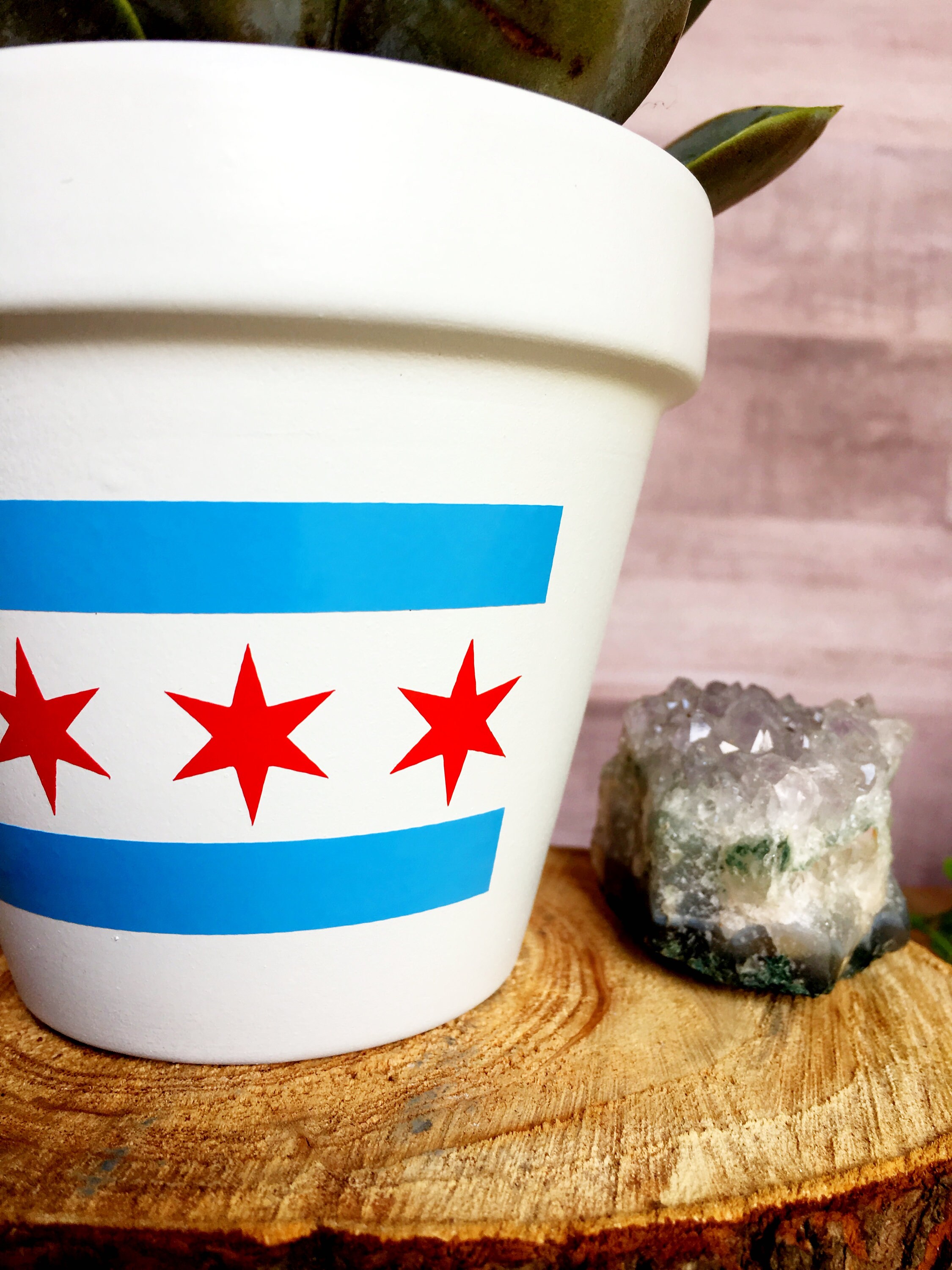 Chicago Flag Pot Chicago Pot Chicago Gift Chicago | Etsy