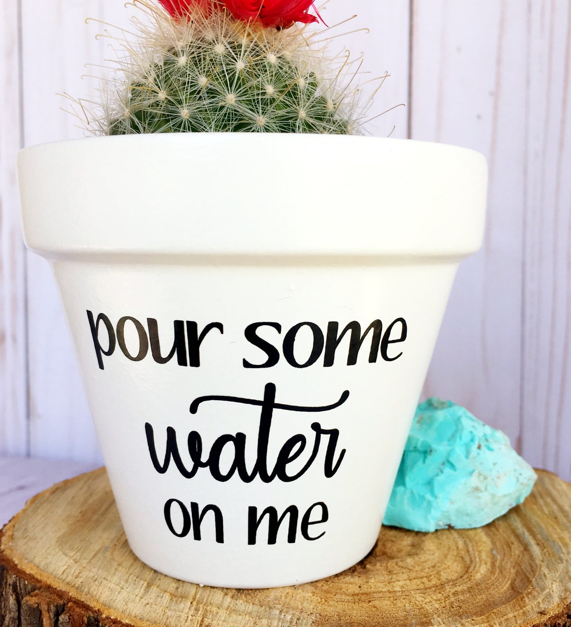 Pour Some Water on Me™ - Succulent Gift - Funny Pot - Plant Pun - Plant ...