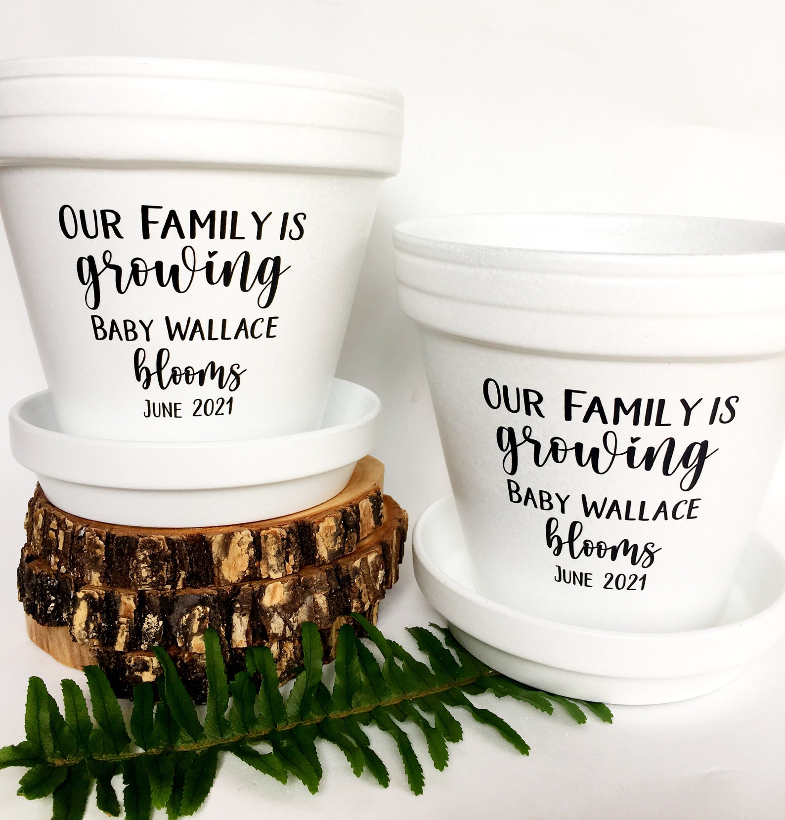 Our Family is Growing - Pregnancy Announcement - Growing Family ...