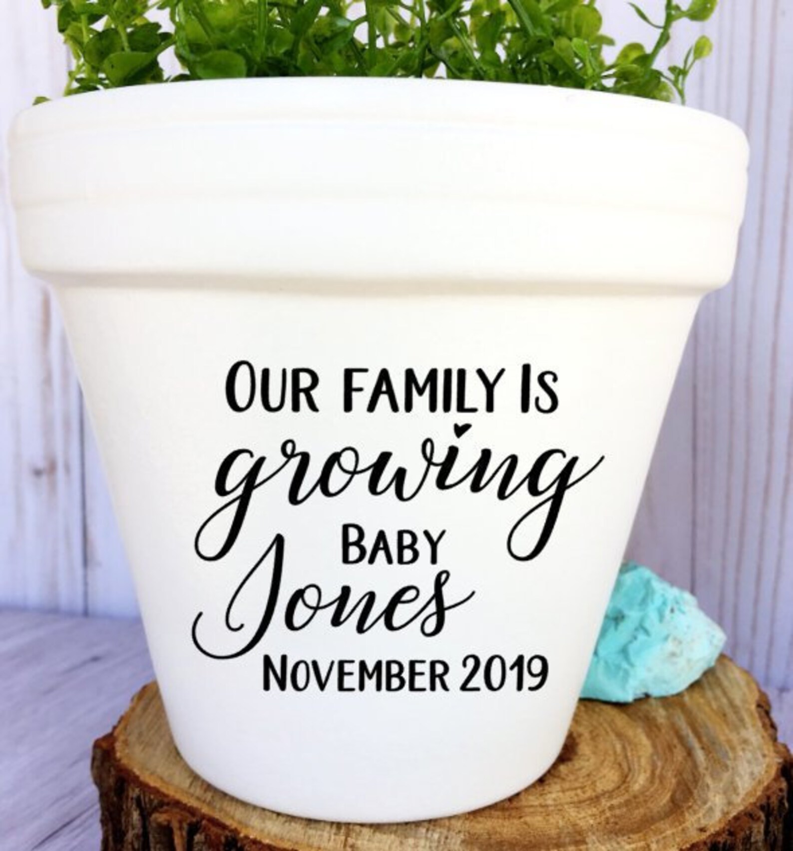 Our Family is Growing - Pregnancy Announcement - Growing Family ...