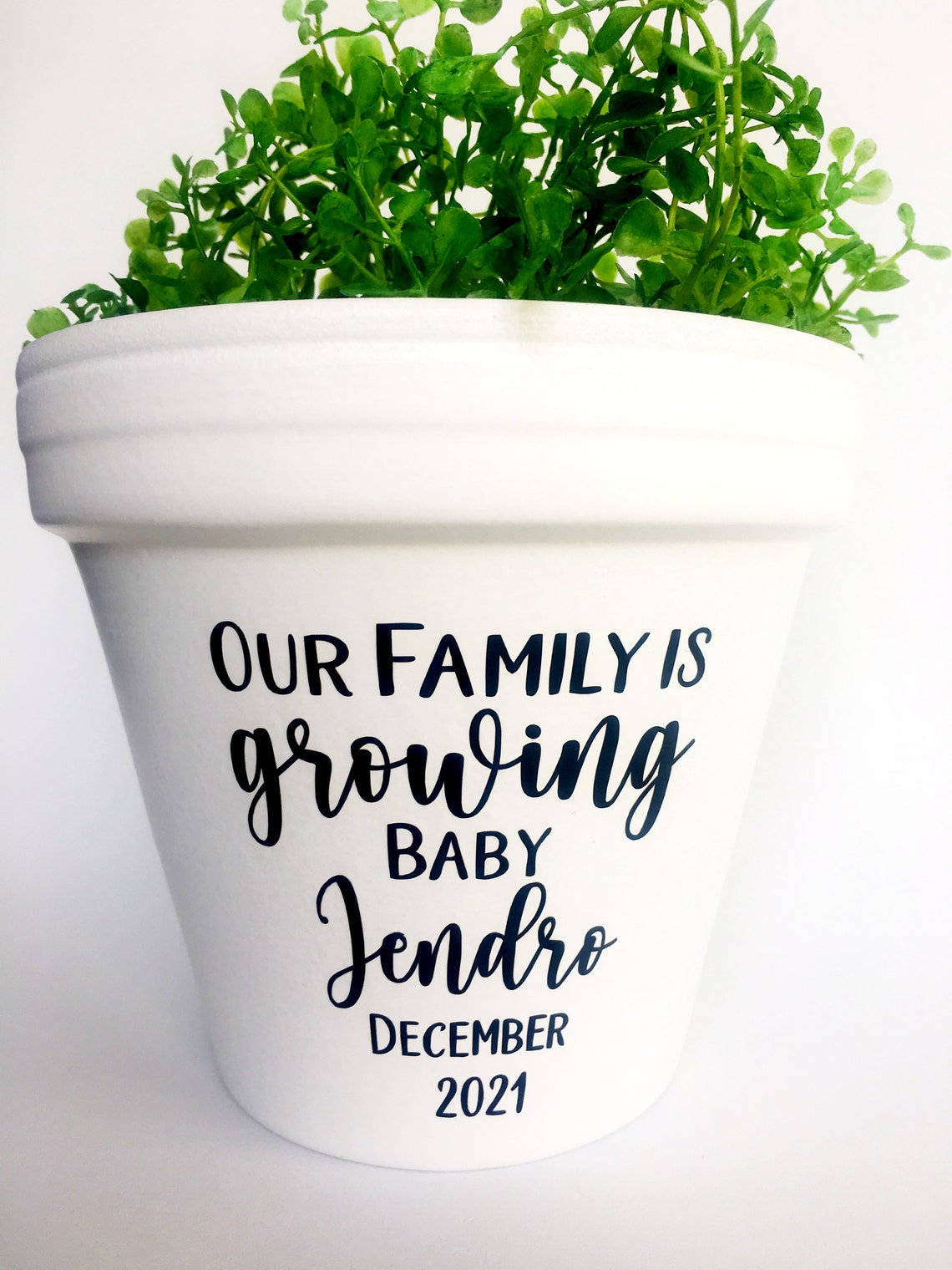 Our Family is Growing Pregnancy Announcement Growing | Etsy
