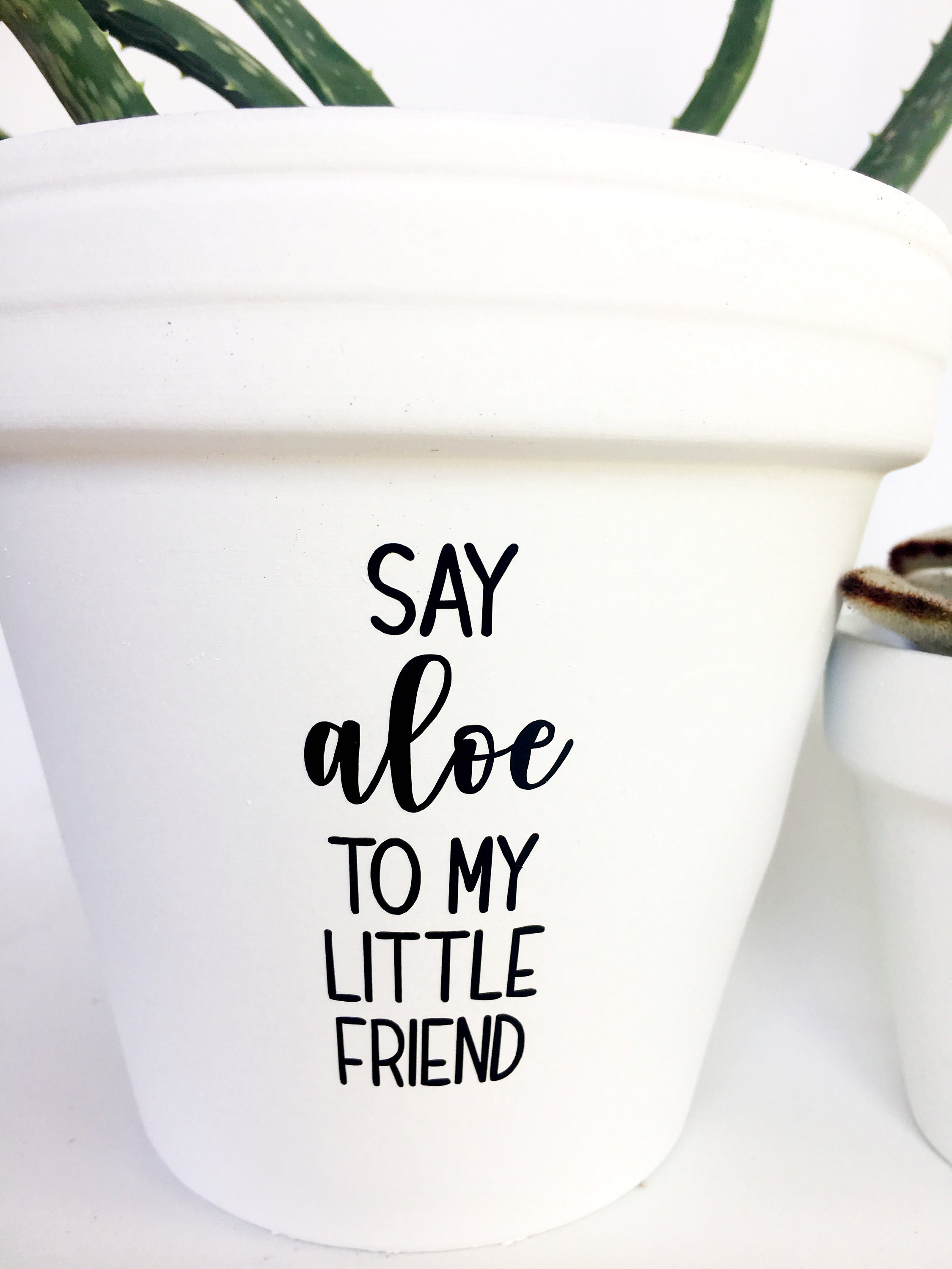 Say Aloe to My Little Friend and Little Friend Planter - Etsy