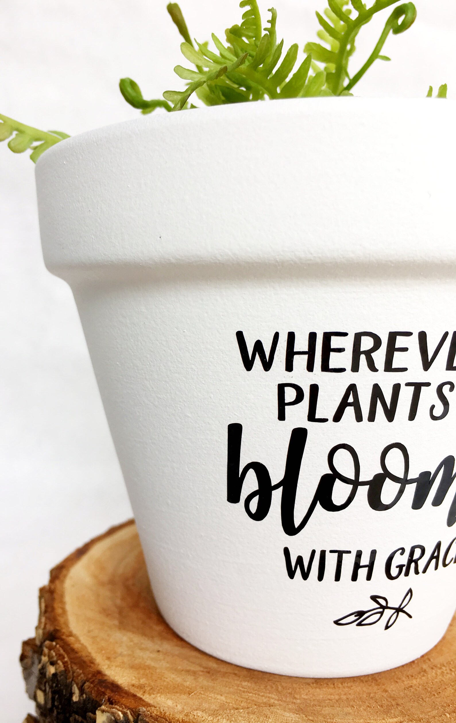 Wherever Life Plants You Bloom With Grace Plant Pun Cute - Etsy