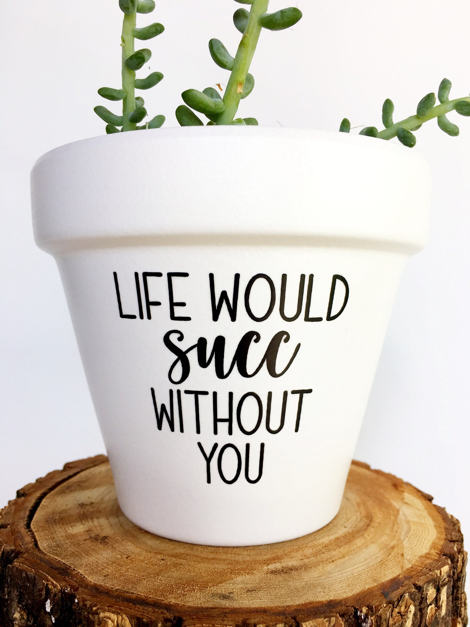 Life Would Succ Without You - Plant Pun - Life Would Succ - Life Would ...