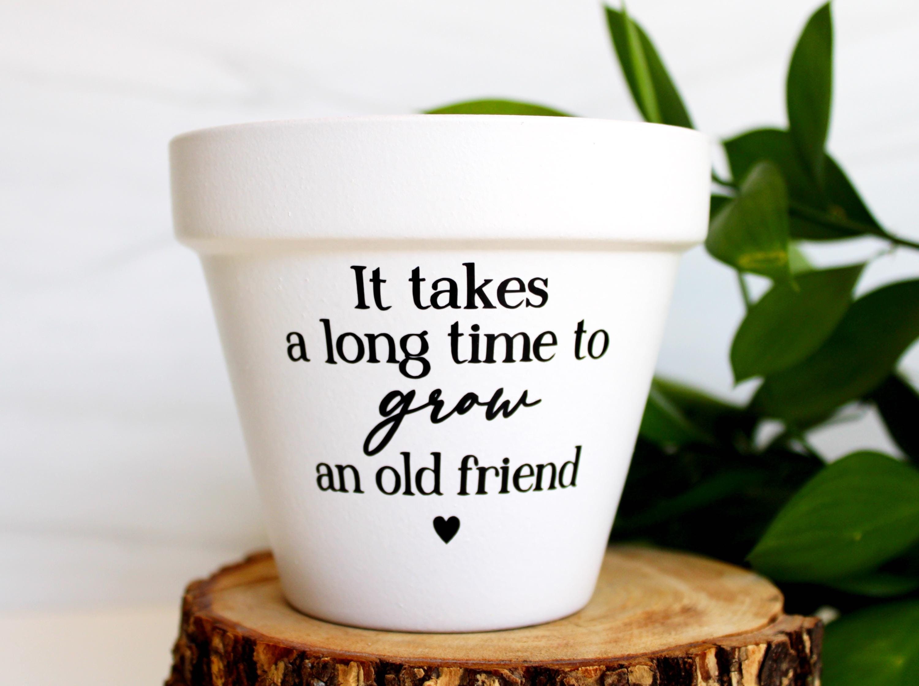 It Takes a Long Time to Grow an Old Friend | Best Friend Gift | Long ...
