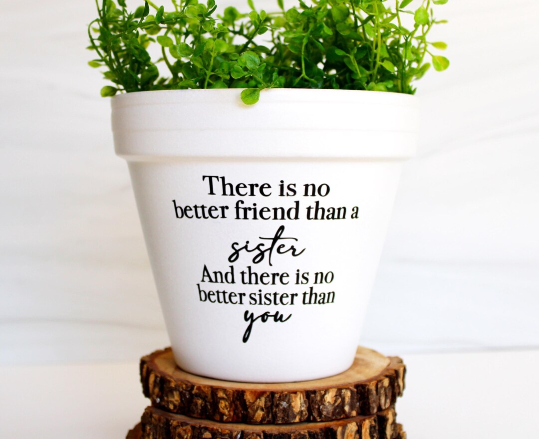 There is No Better Friend Than a Sister | Sister Gift | Gift for Sister ...