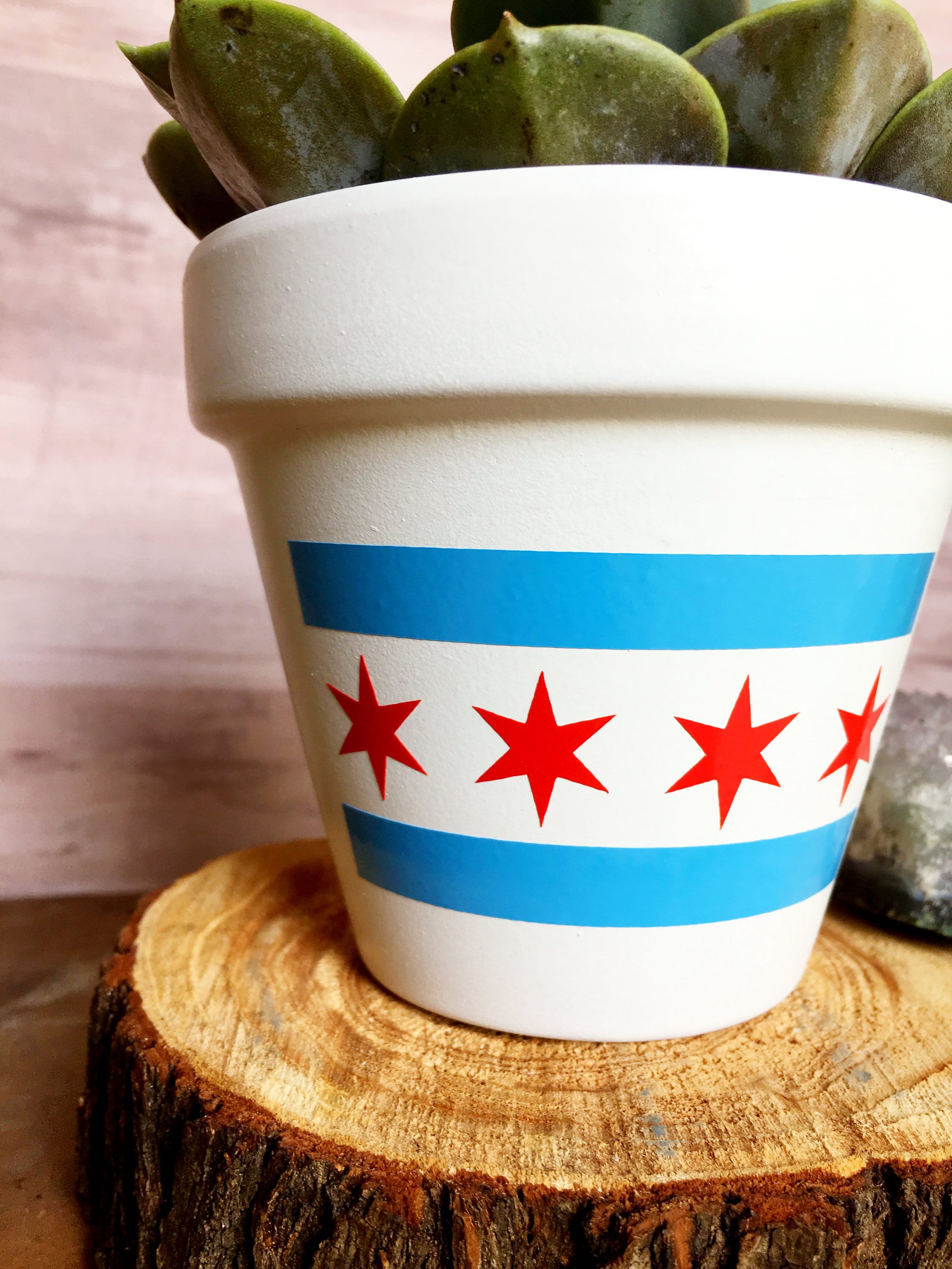 Chicago Flag Pot Chicago Pot Chicago Gift Chicago | Etsy