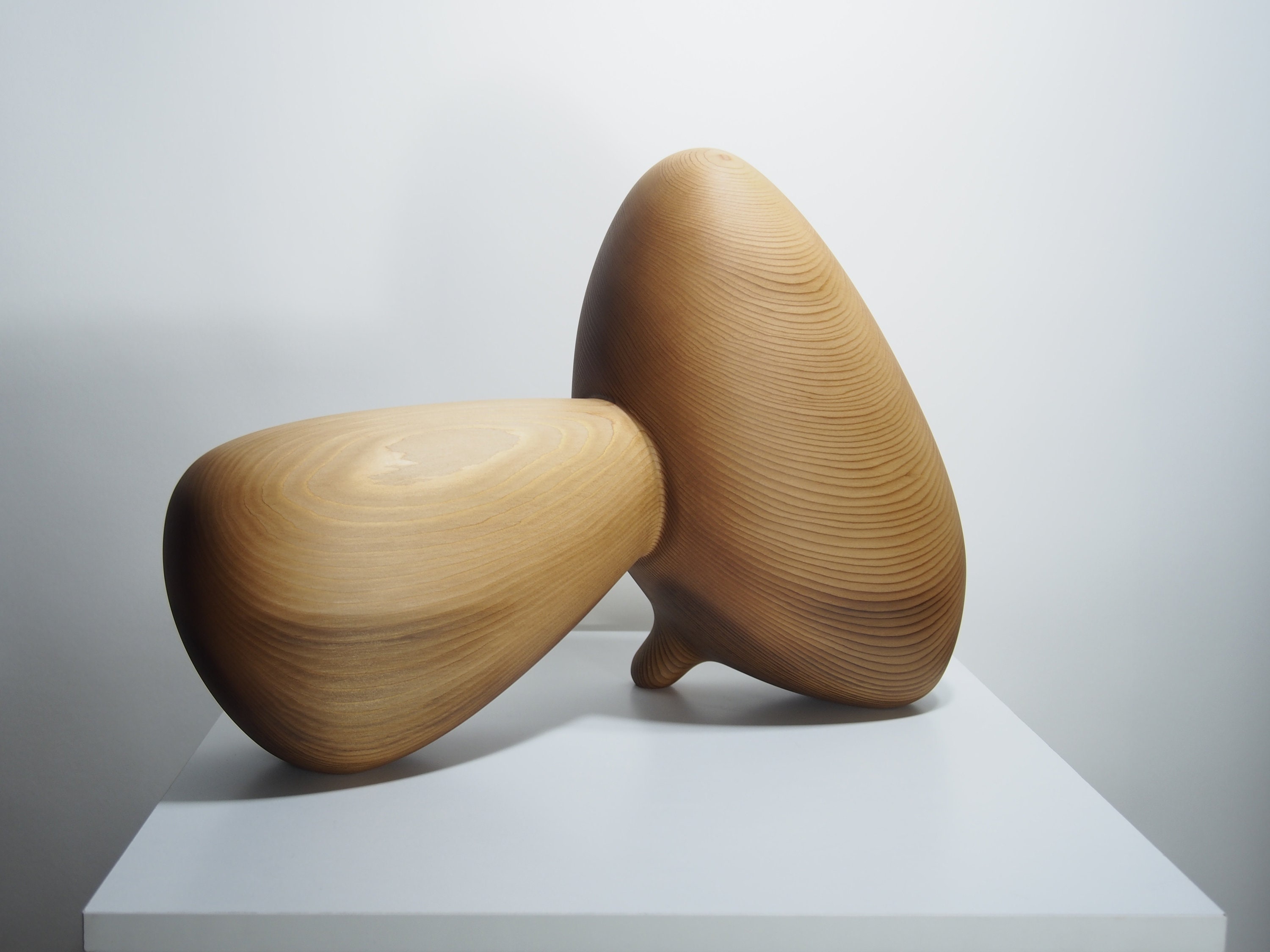 Abstract Wood Sculpture Merging Forms No.2 2023 Western Red Cedar, Wax ...