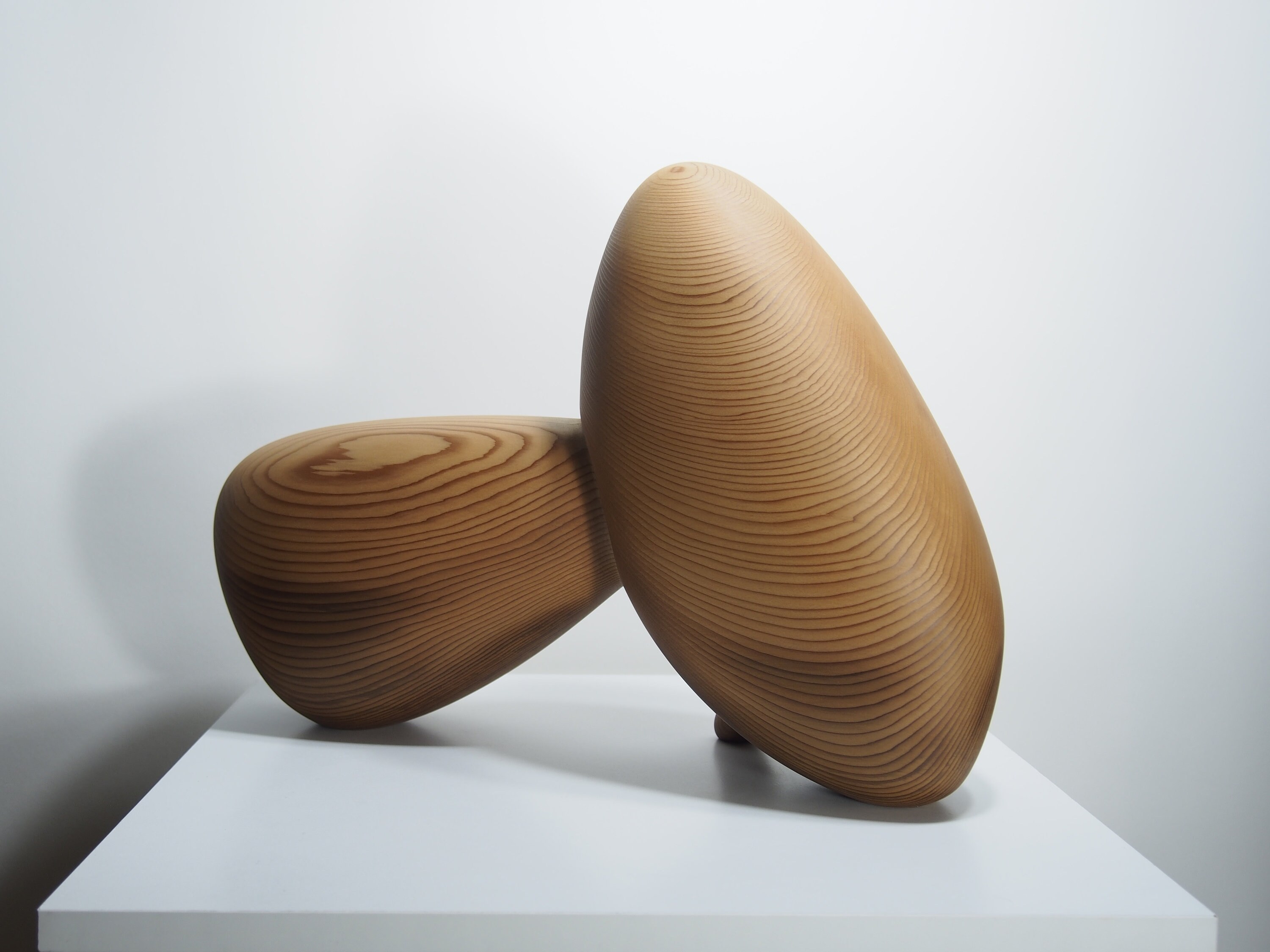 Abstract Wood Sculpture Merging Forms No.2 2023 Western Red Cedar, Wax ...