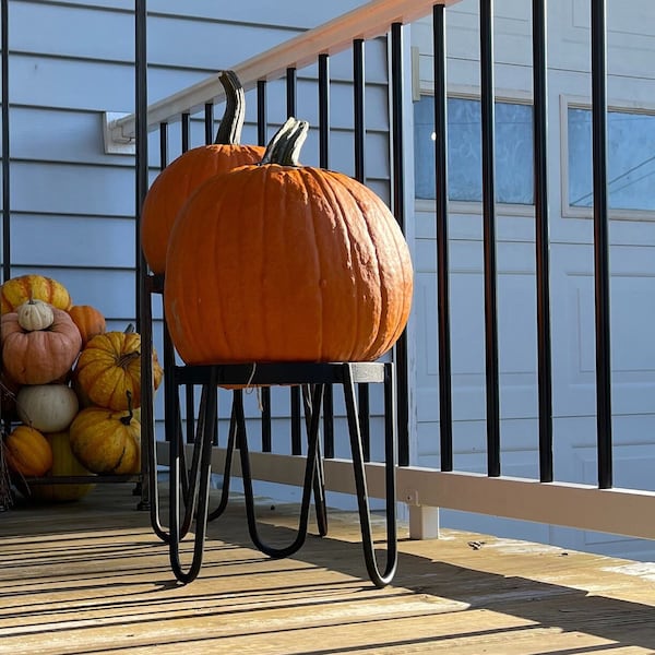 Pumpkin Stand - Etsy