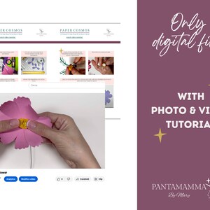 Paper COSMOS Template, Cosmos Svg, Dxf, Pdf, 3D Paper Flowers, Paper ...