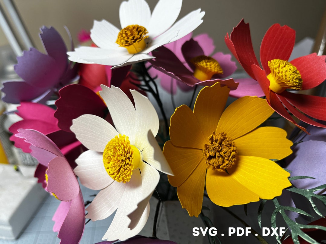 Paper Flower COSMOS Template, Cosmos Svg, Dxf, Pdf, 3D Paper Flowers ...