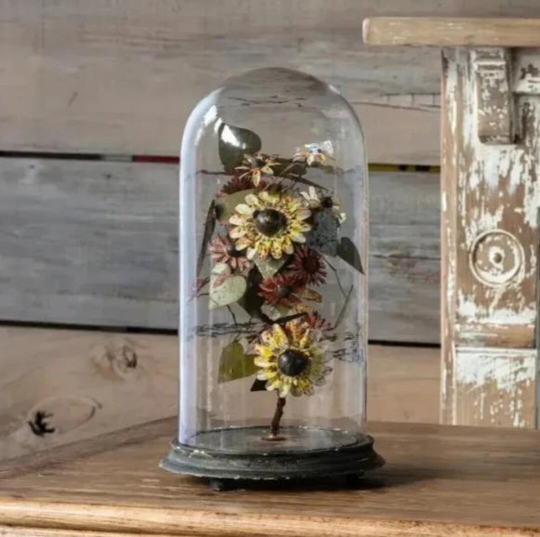 Vintage French Wire Flowers Under Glass Dome - Etsy