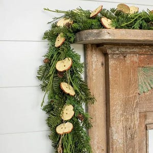 Vintage Decorative Apple Slice Garland - Etsy