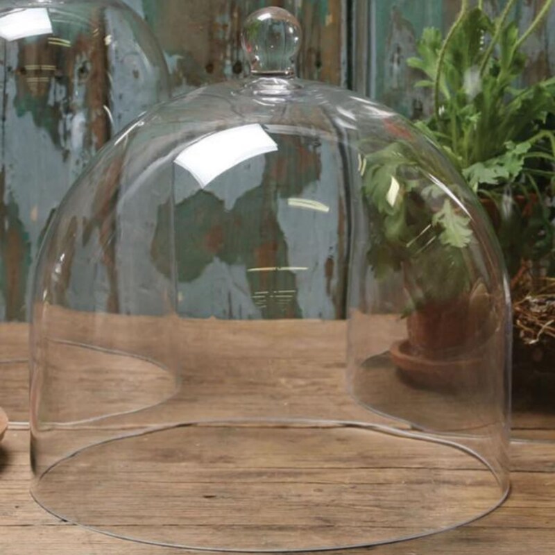 Glass Cake Dome - Etsy