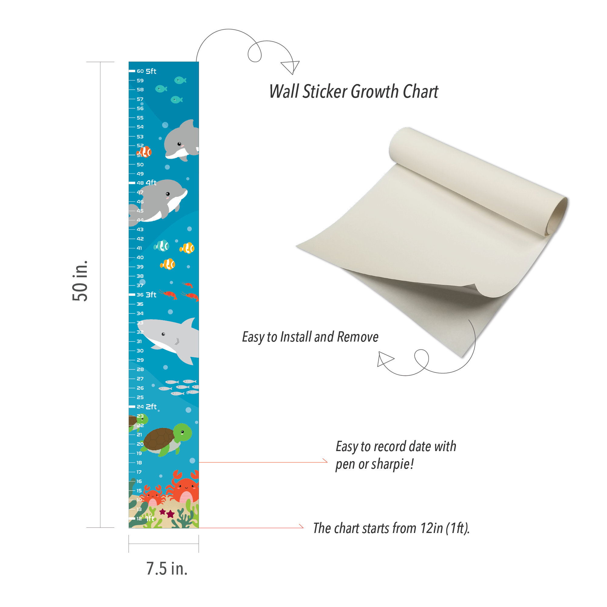 Ocean, Growth Chart Wall Decal, Height Chart, Kids Growth Chart, Growth ...