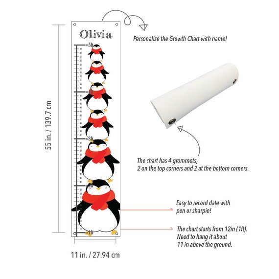 Penguin Growth Chart Exponential Growth And Decay Penguin Activity