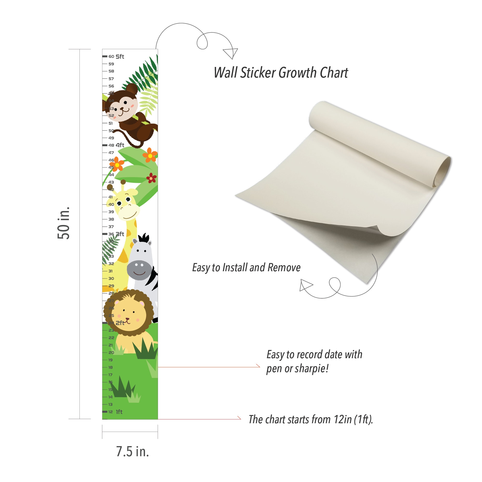 Zoo, Growth Chart Wall Decal, Height Chart, Kids Growth Chart, Growth ...