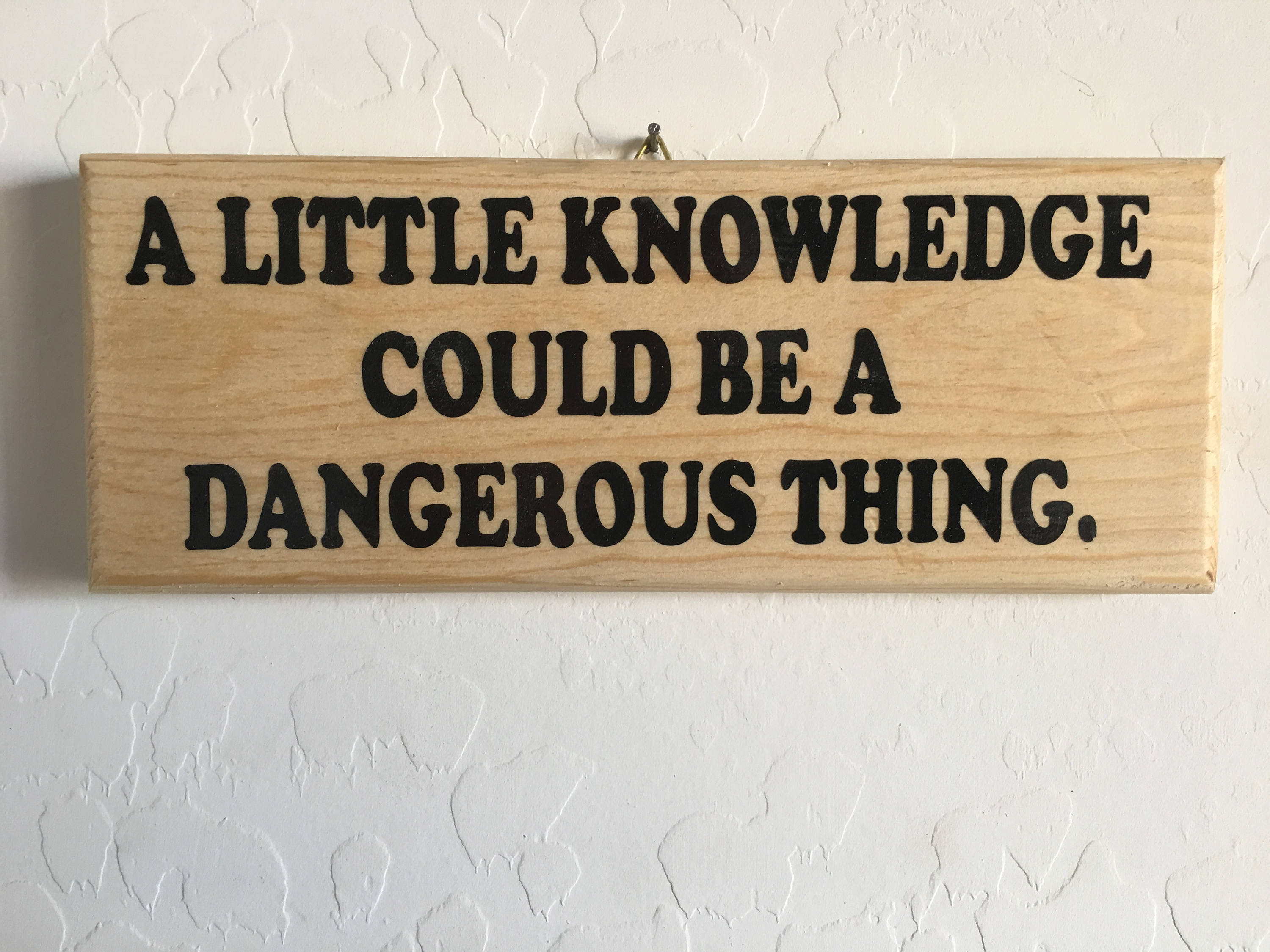 Quote, Wood, Plaque, Sign, A Little Knowledge Could Be a Dangerous ...
