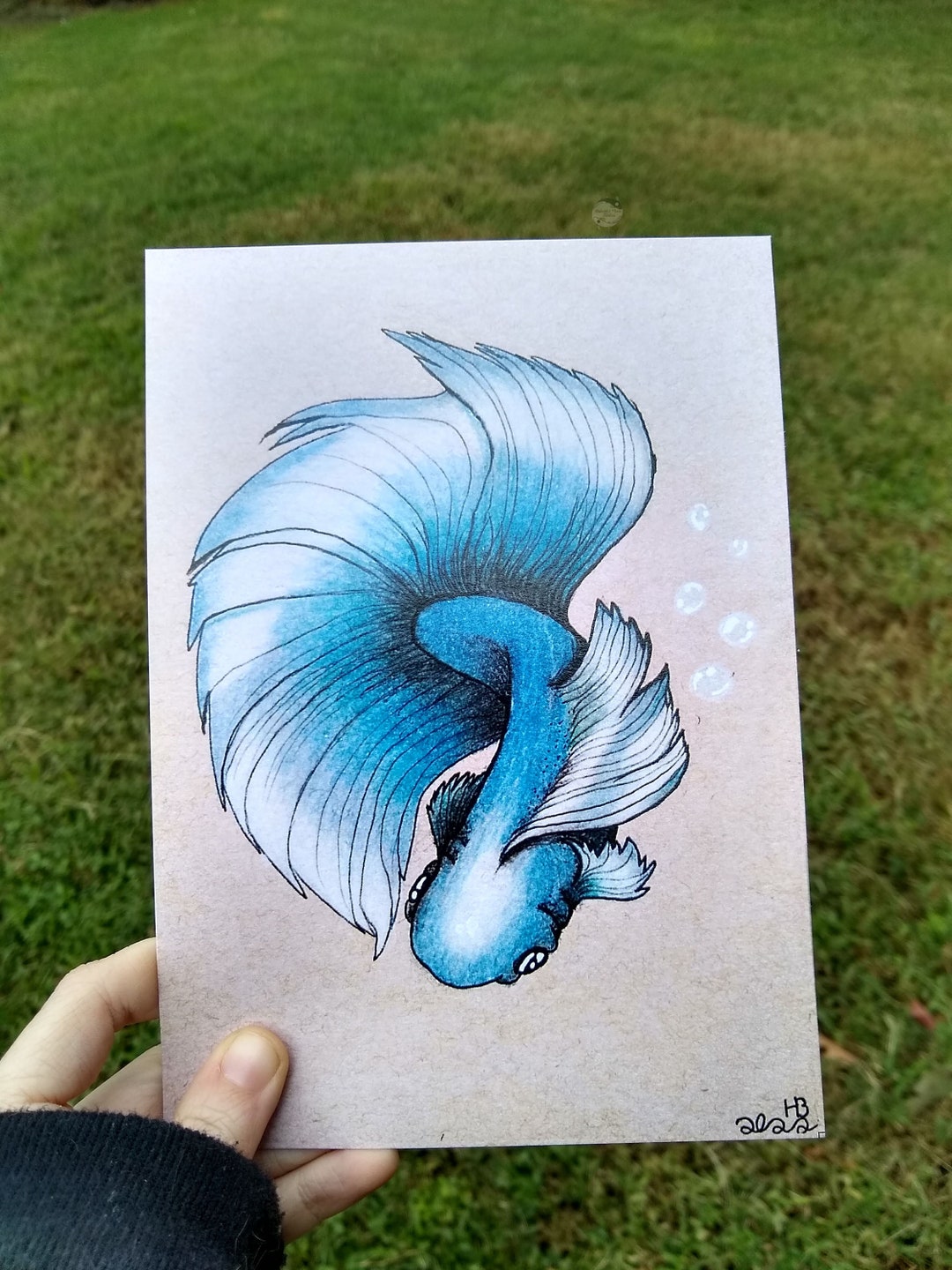 Blue Betta Art Print - Etsy