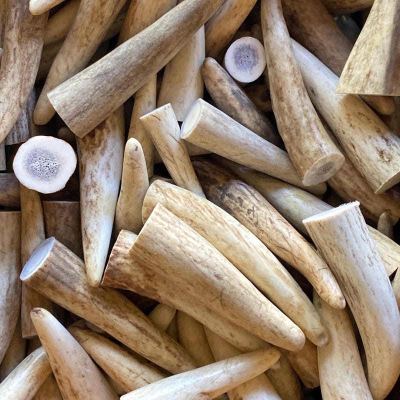 Deer Antler Tips - Etsy