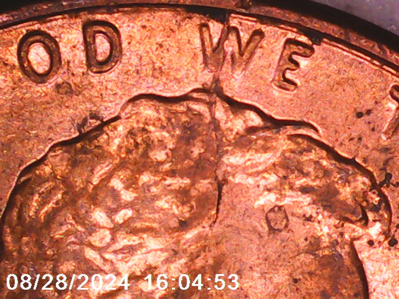 2021 Lincoln Cent Penny Die Break From Lincoln's Head Through W in WE ...