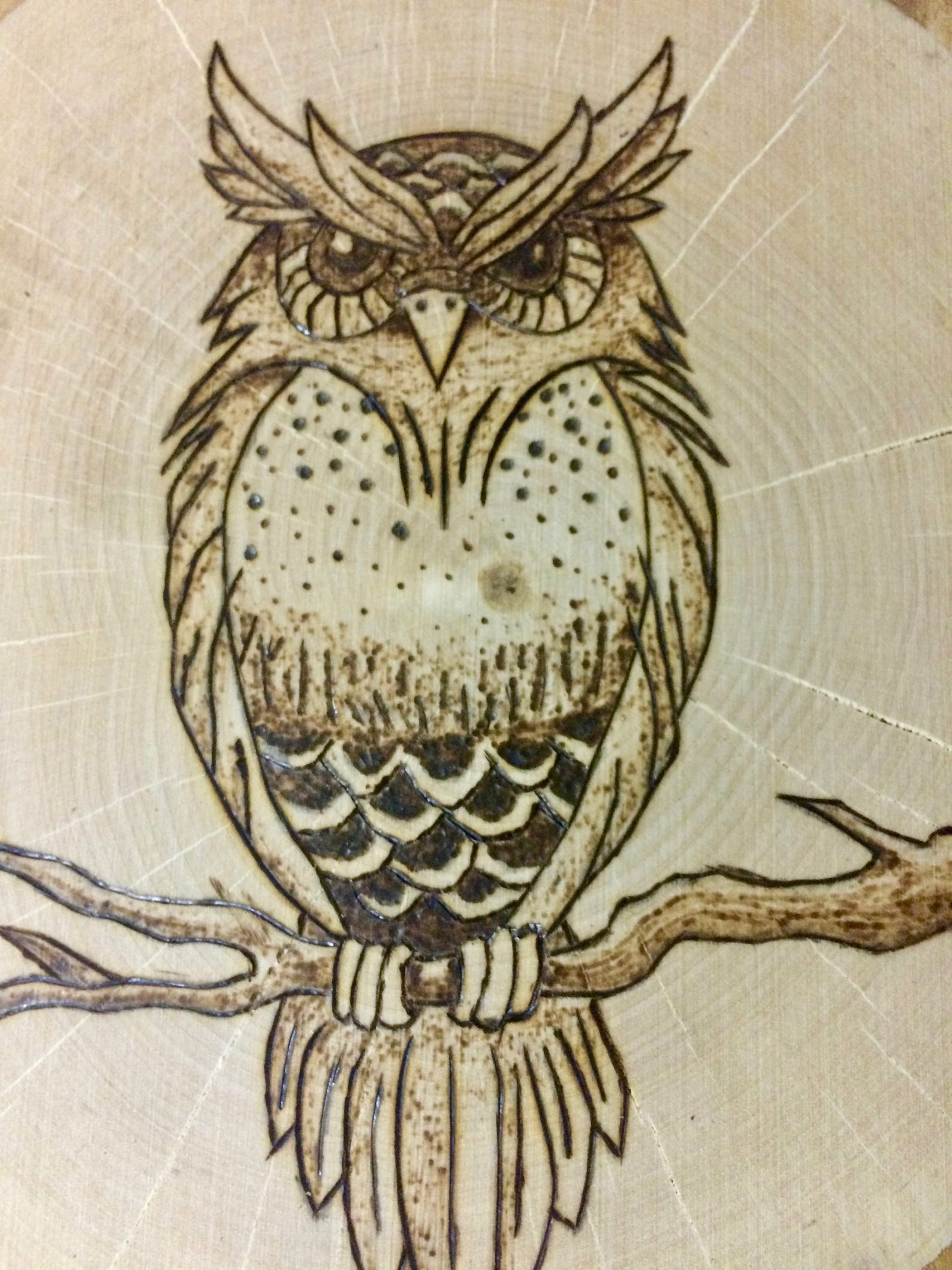 Wood Burned Perched Owl - Etsy