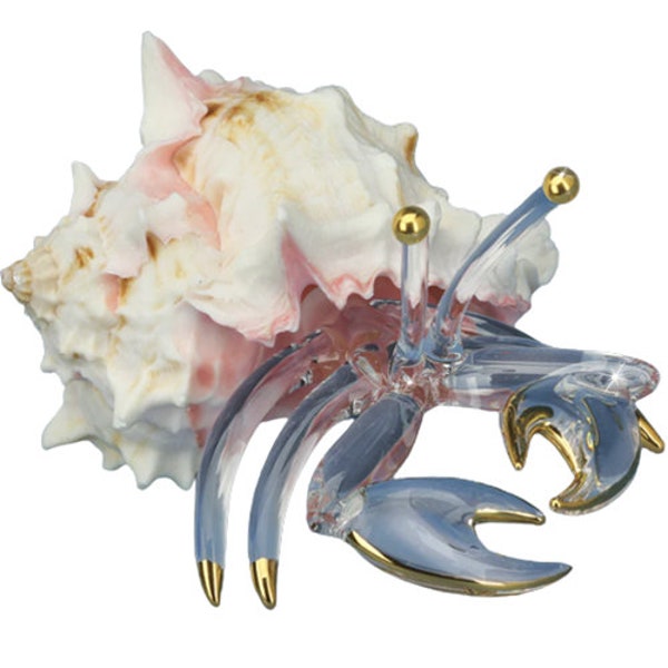Hermit Crab Shells Glass - Etsy
