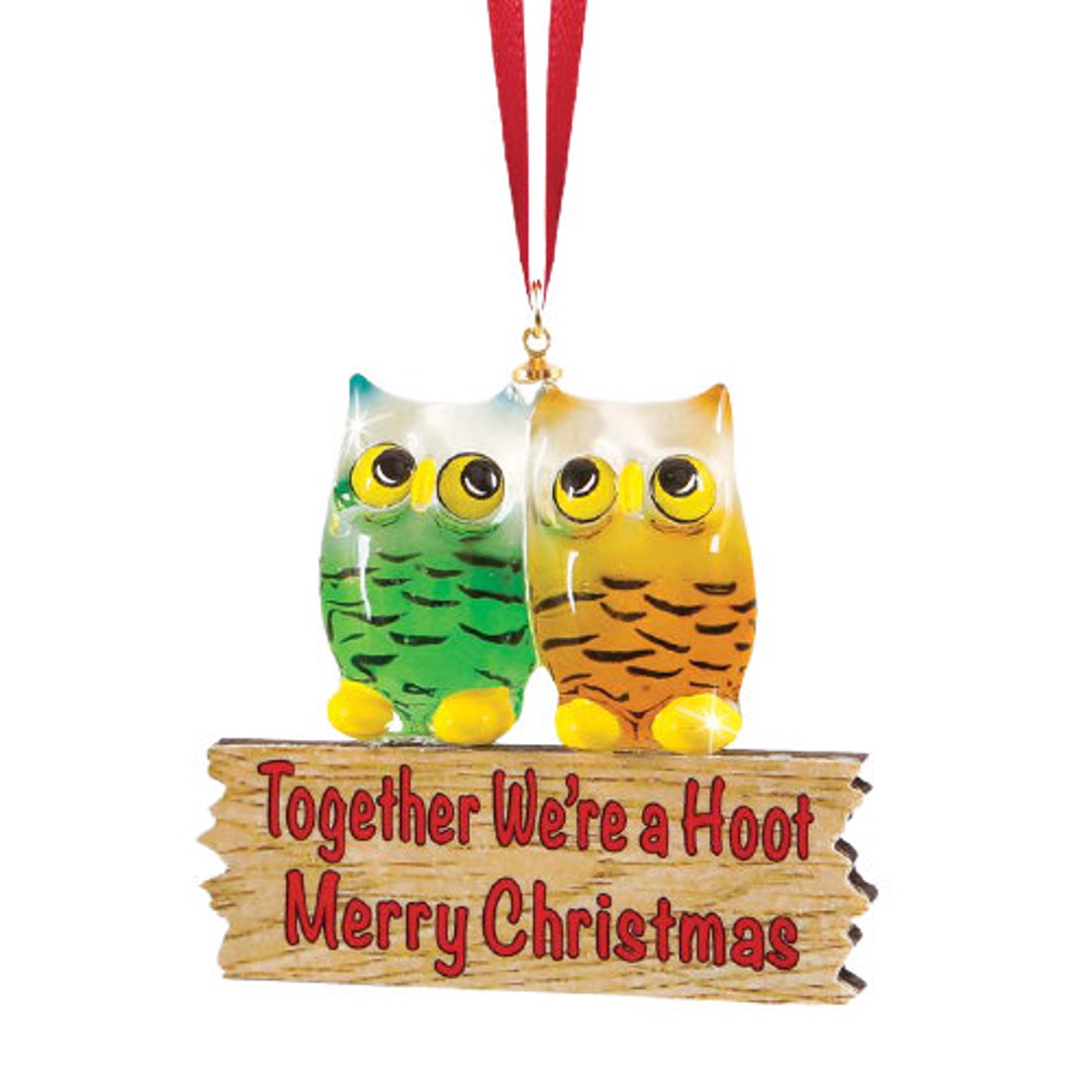 Owls Christmas Ornaments, Glass Christmas Tree Decor, Owl Home Decor ...