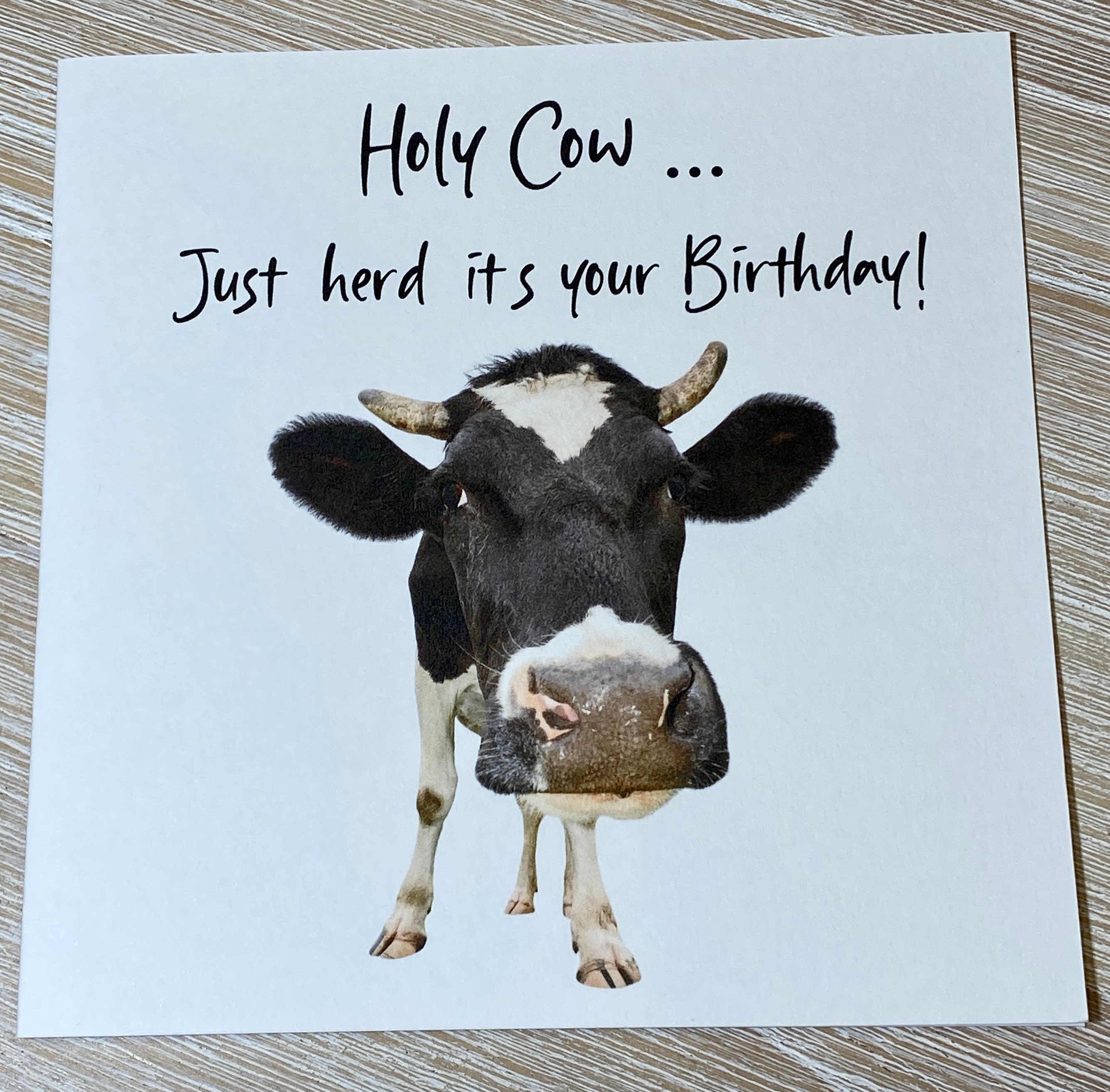 Cow Birthday Quotes Cow Birthday Card Envelope Funny " 're Old"