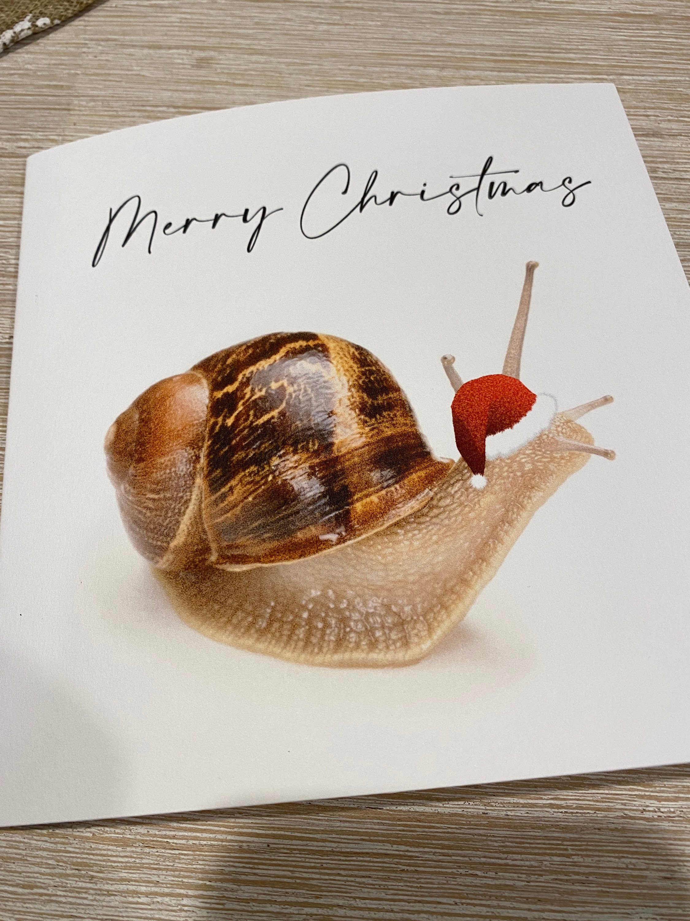 Snail Christmas Card Snail Wearing a Santa Hat Snail Santa - Etsy