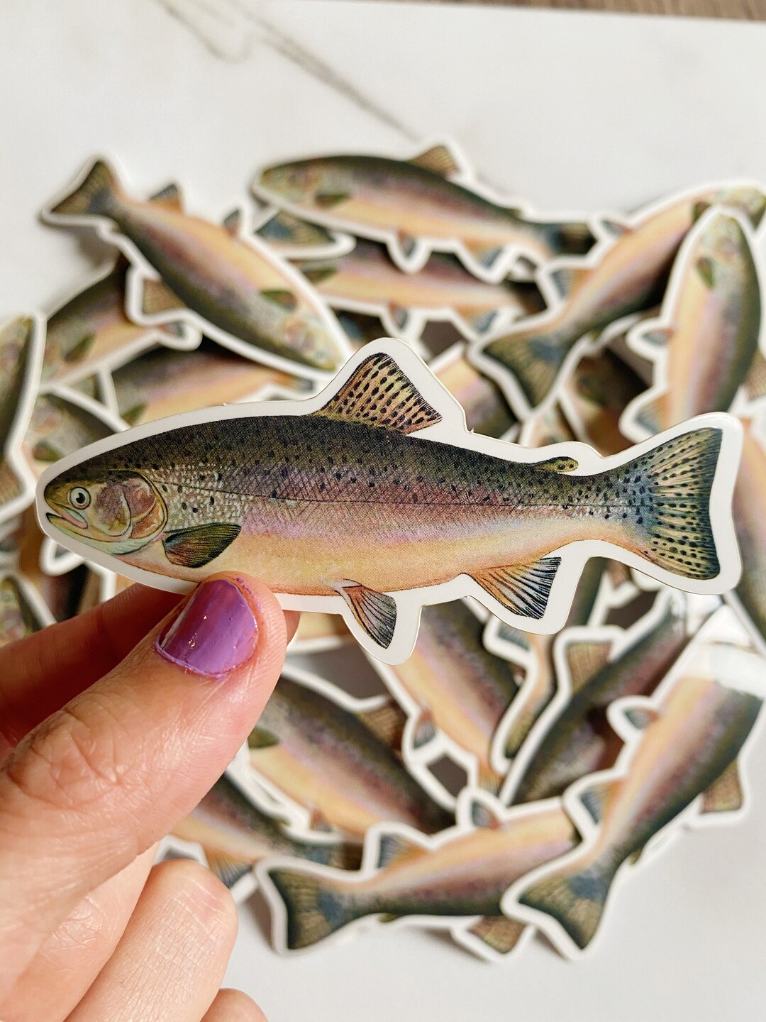 Trout Stickerfish Stickerfishing Lover Stickerwaterproof Stickerscar ...