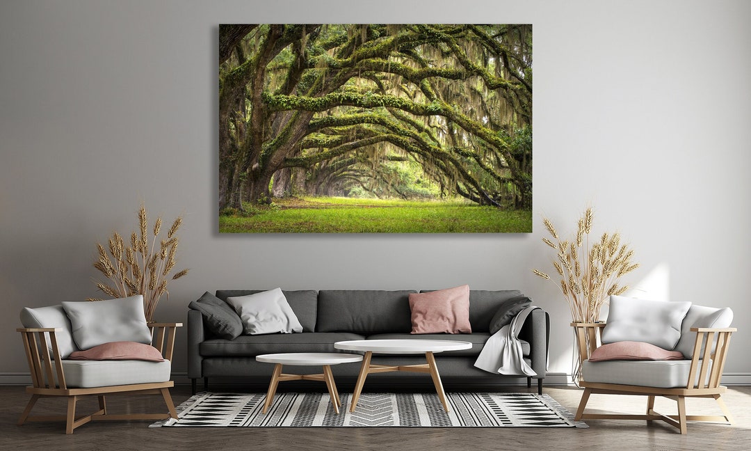 Oak Tree South Carolina Print on Canvas & Modern Wall Art, Canvas Wall ...