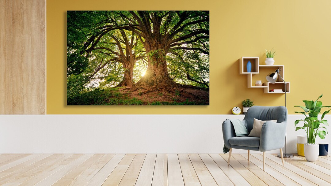 Old Oak Tree Sunlight Canvas Oak Tree South Carolina & Print - Etsy