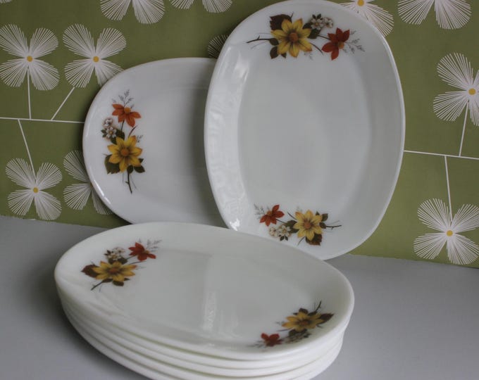 Lovely 1960s JAJ Pyrex Oval Dinner Plates/steak Plates in Autumn Glory ...