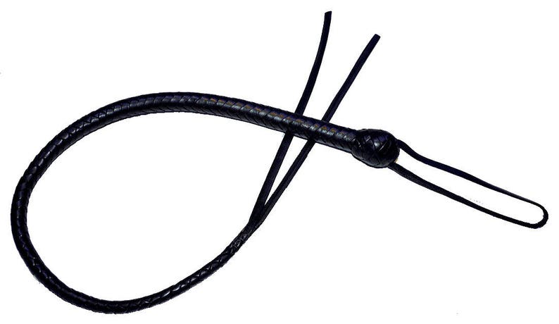 Terginum sharp whip single-tail Dog Whip leather whip dog whip | Etsy