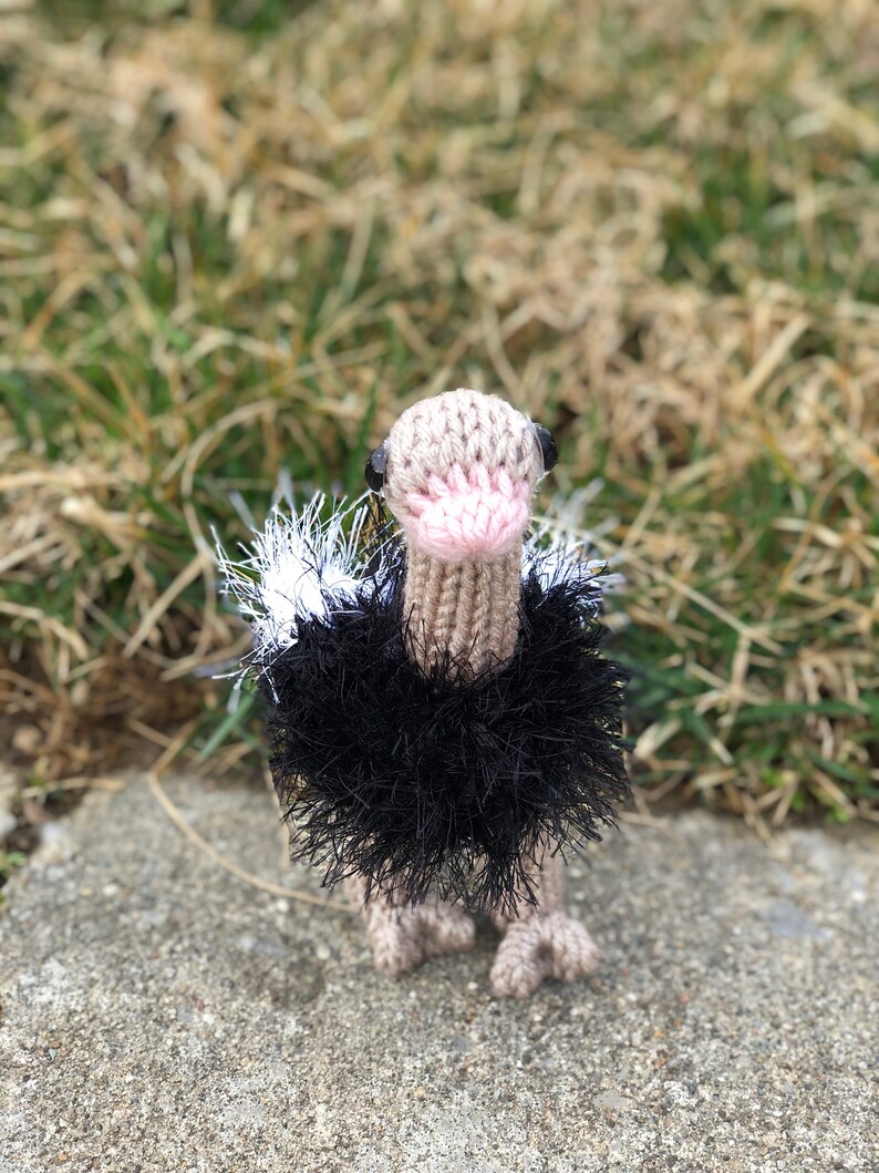 Mini Ostrich Circular Knitting Machine Pattern PDF | Etsy