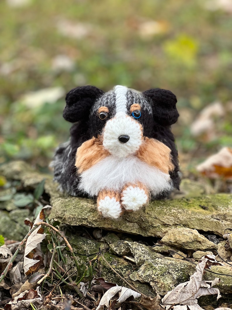 Mini Australian Shepherd Circular Knitting Machine Pattern - Etsy