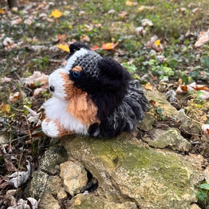 Mini Australian Shepherd - Circular Knitting Machine Pattern - PDF - Etsy