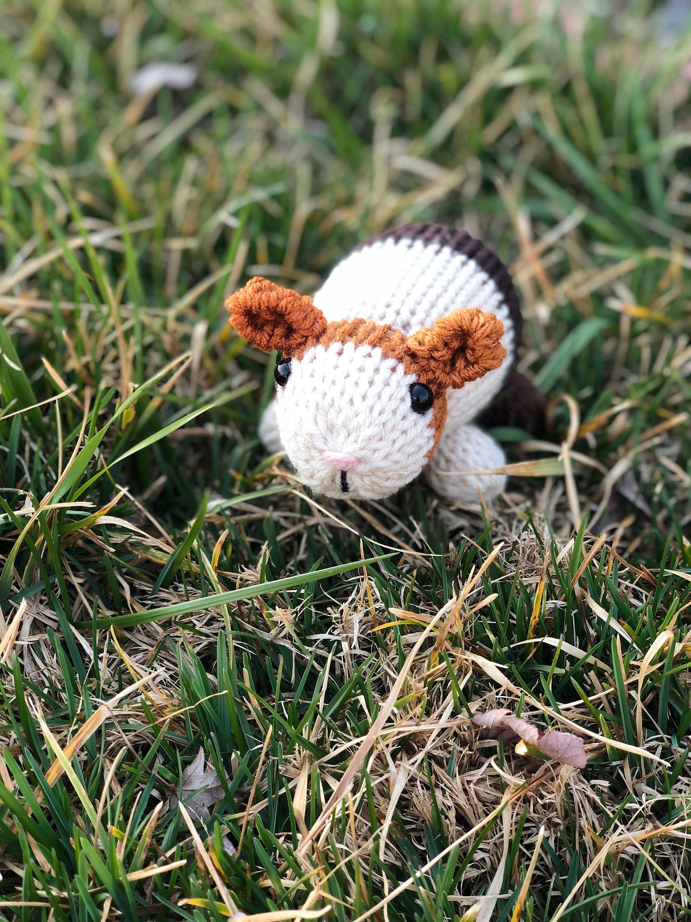 Mini Guinea Pig - Circular Knitting Machine Pattern -PDF - Etsy
