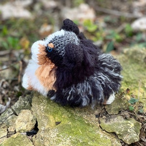 Mini Australian Shepherd - Circular Knitting Machine Pattern - PDF - Etsy