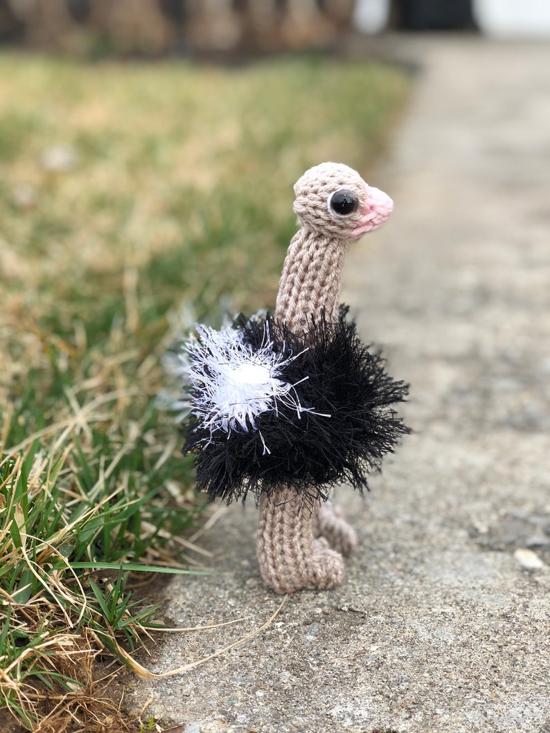 Mini Ostrich Circular Knitting Machine Pattern PDF | Etsy