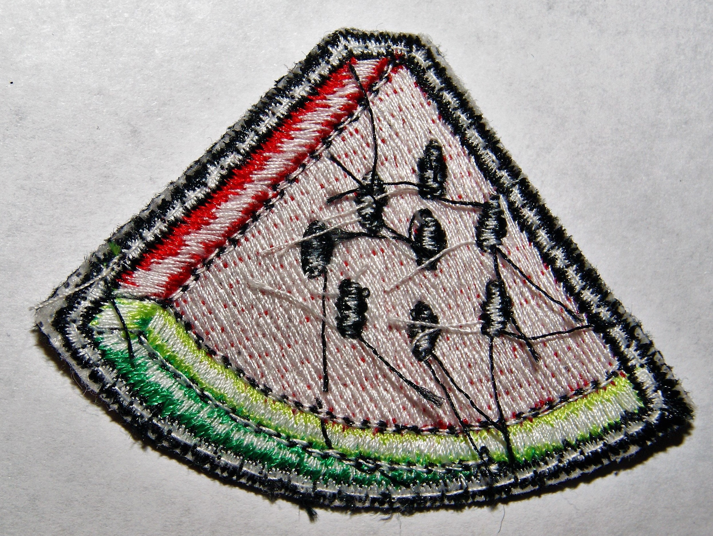 Patch.water Melon.fully Embroidered.great Quality.vivid Colors.vintage ...