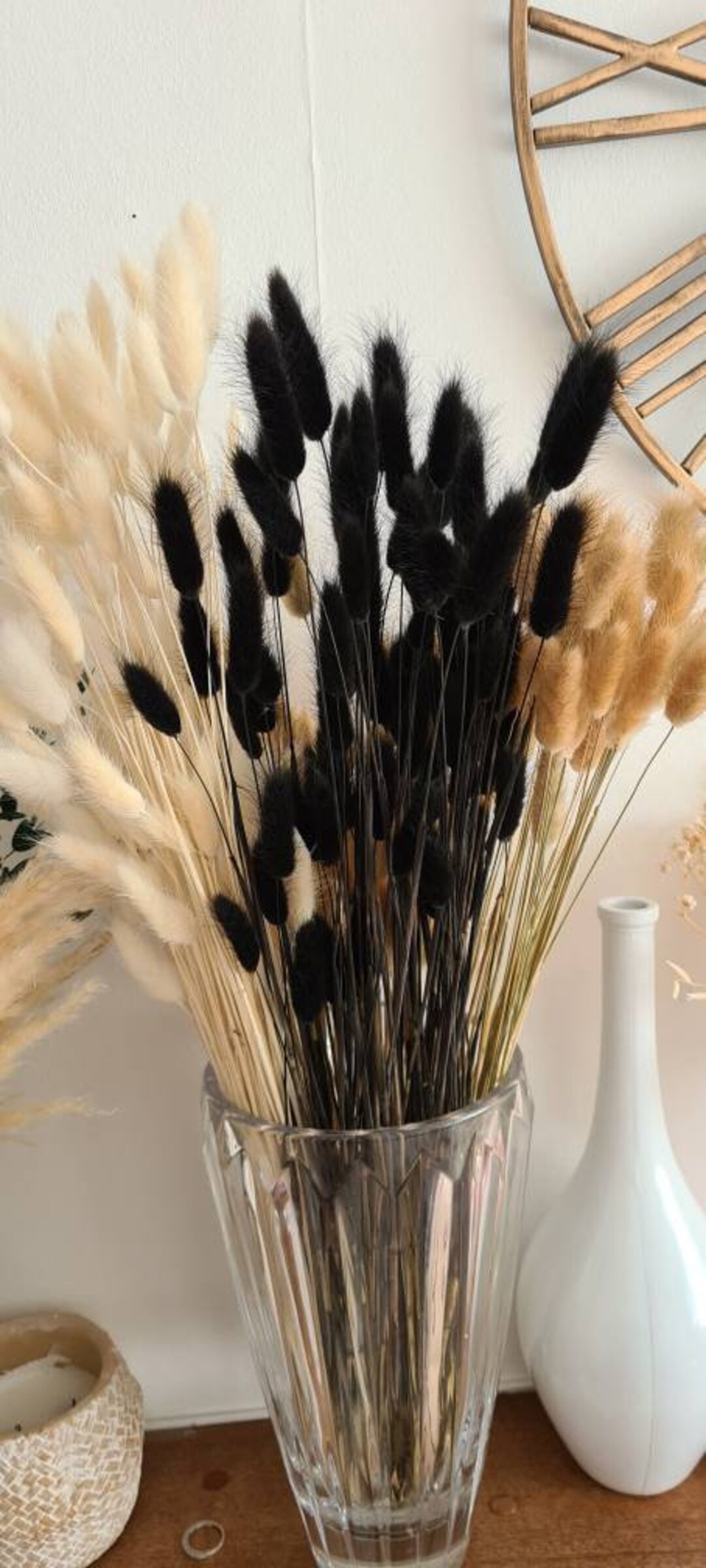 50 Bunny Tails, 50-60cm Tall | Black Natural White Bunnytails Pampas ...
