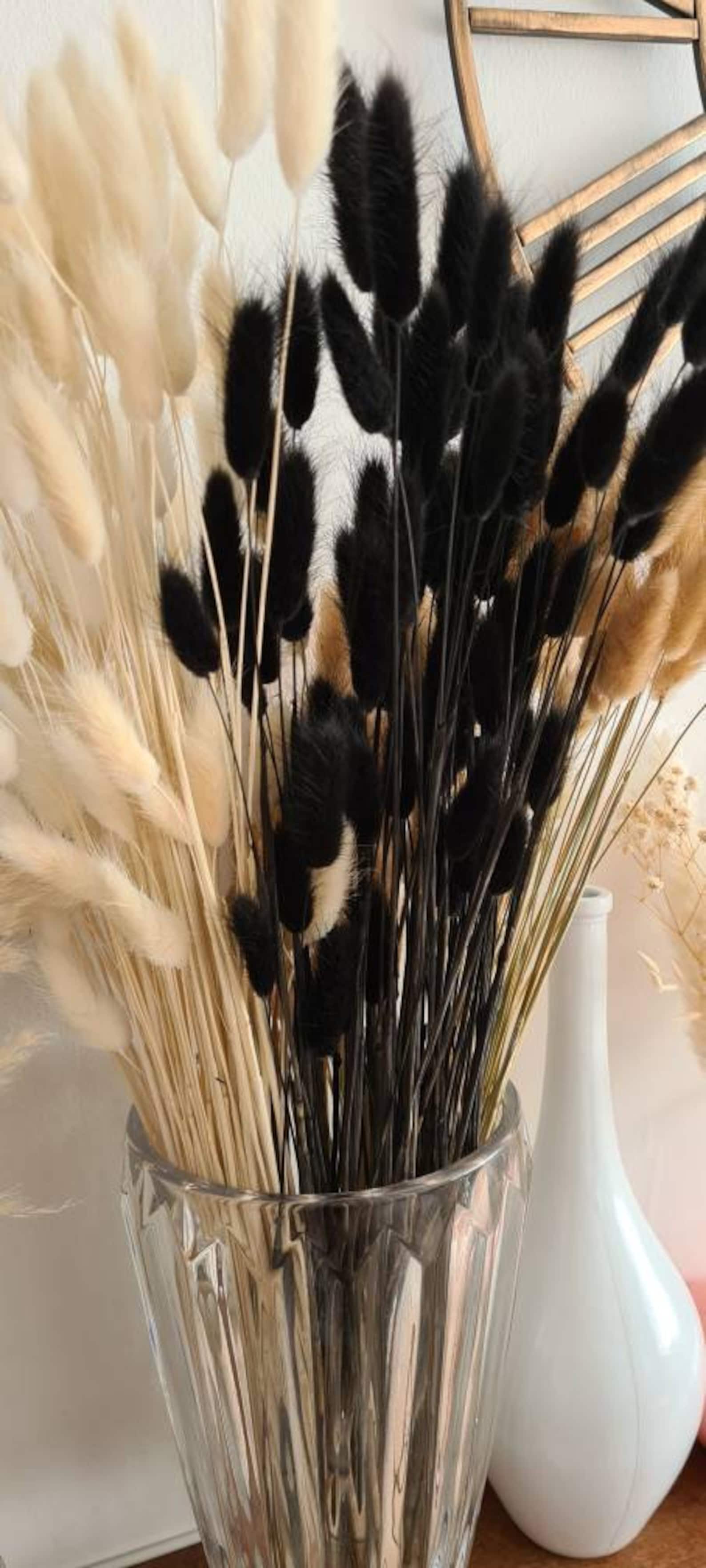 50 Bunny Tails, 50-60cm Tall | Black Natural White Bunnytails Pampas ...