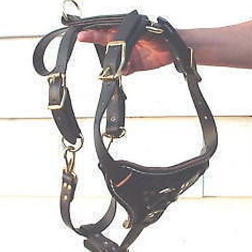 Biothane Dog Harness Police K9 Schutzhund Ipo - Etsy